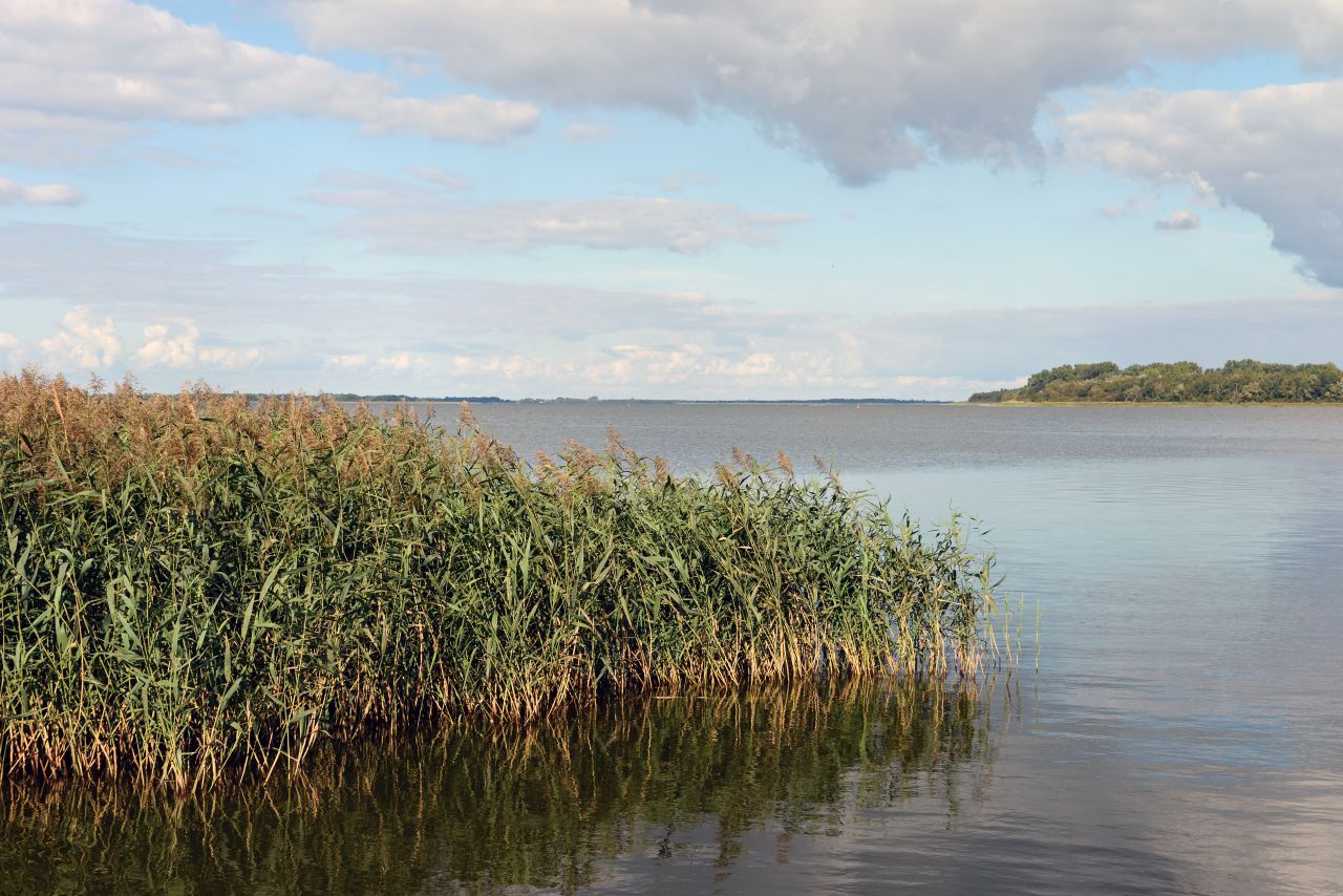 Ferienhäuser & Ferienwohnungen in Saal | Ostseeklar